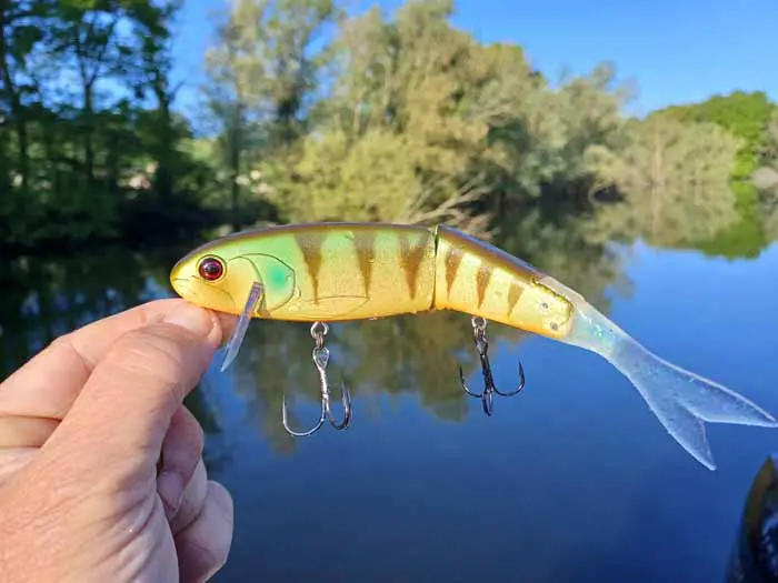 Un jour un leurre : Le Blast Bone 190 d’Illex - Esoxiste.com