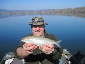 La pêche du corégone – lavaret – féra - Esoxiste.com