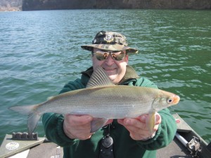 La pêche du corégone – lavaret – féra - Esoxiste.com
