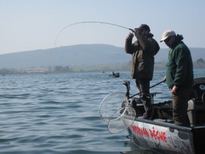 La pêche du corégone – lavaret – féra - Esoxiste.com