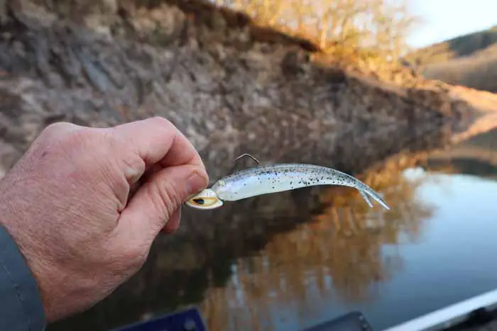 fin's fish lunker city (16) - Esoxiste.com