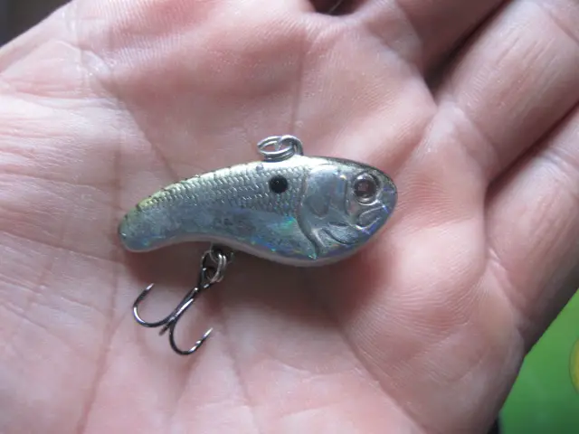 mini flat shad - Esoxiste.com