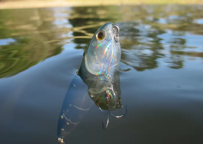 sammy lucky craft (1) - Esoxiste.com