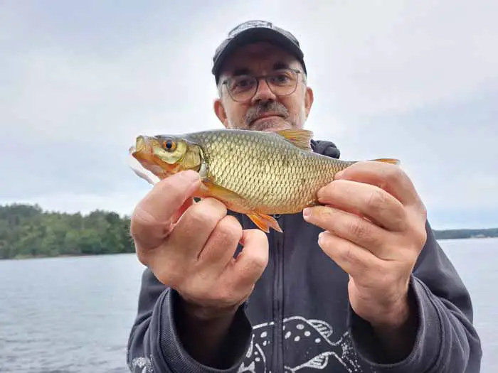 settons 060725-20 - Esoxiste.com